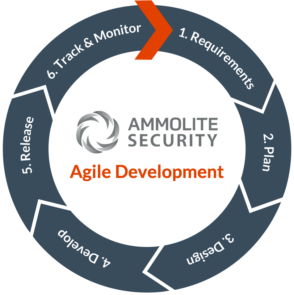 Our Cybersecurity Process — Ammolite Security - Cybersecurity Company