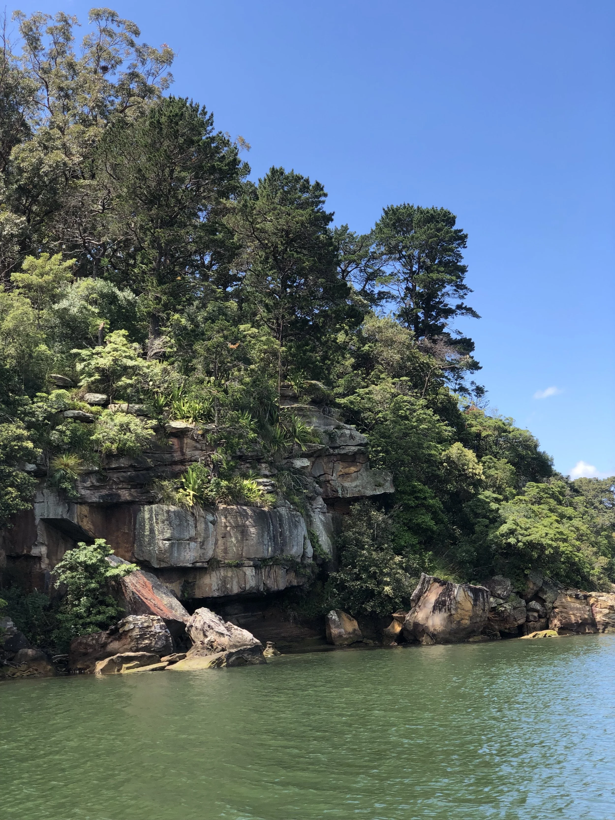 Lane Cove River — She SUPs