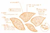 Wild Urban Spaces - Bringing the Miyawaki Method to Cities — Journal of ...