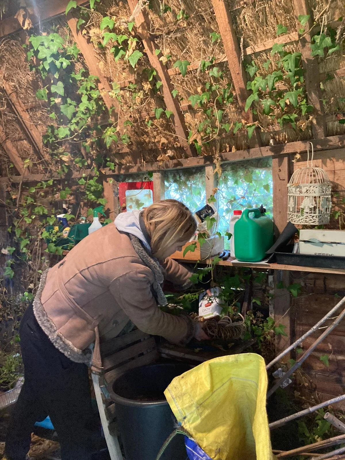 Botanic Shed 10 minute tip - 1 Soil — Journal of Biophilic Design