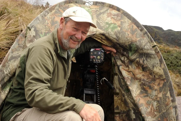 Nature on Film - From David Attenborough and the BBC to Termite Mounds ...