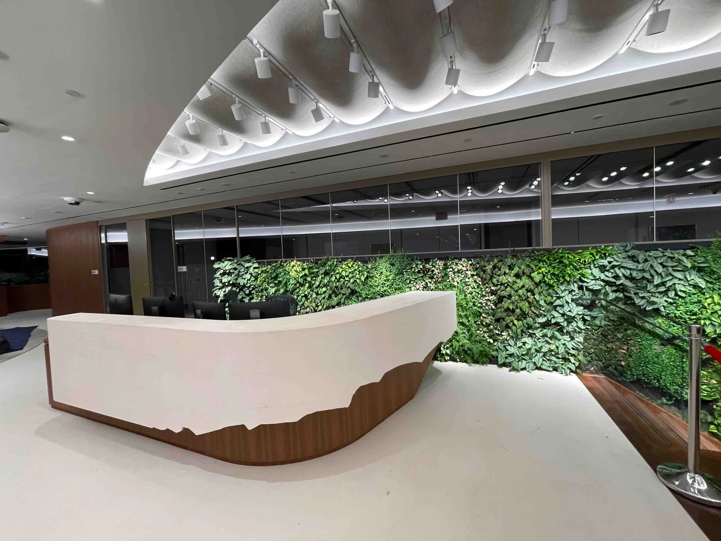 The Walls are Alive! The Beauty of Greening our Cities - inside and out ...