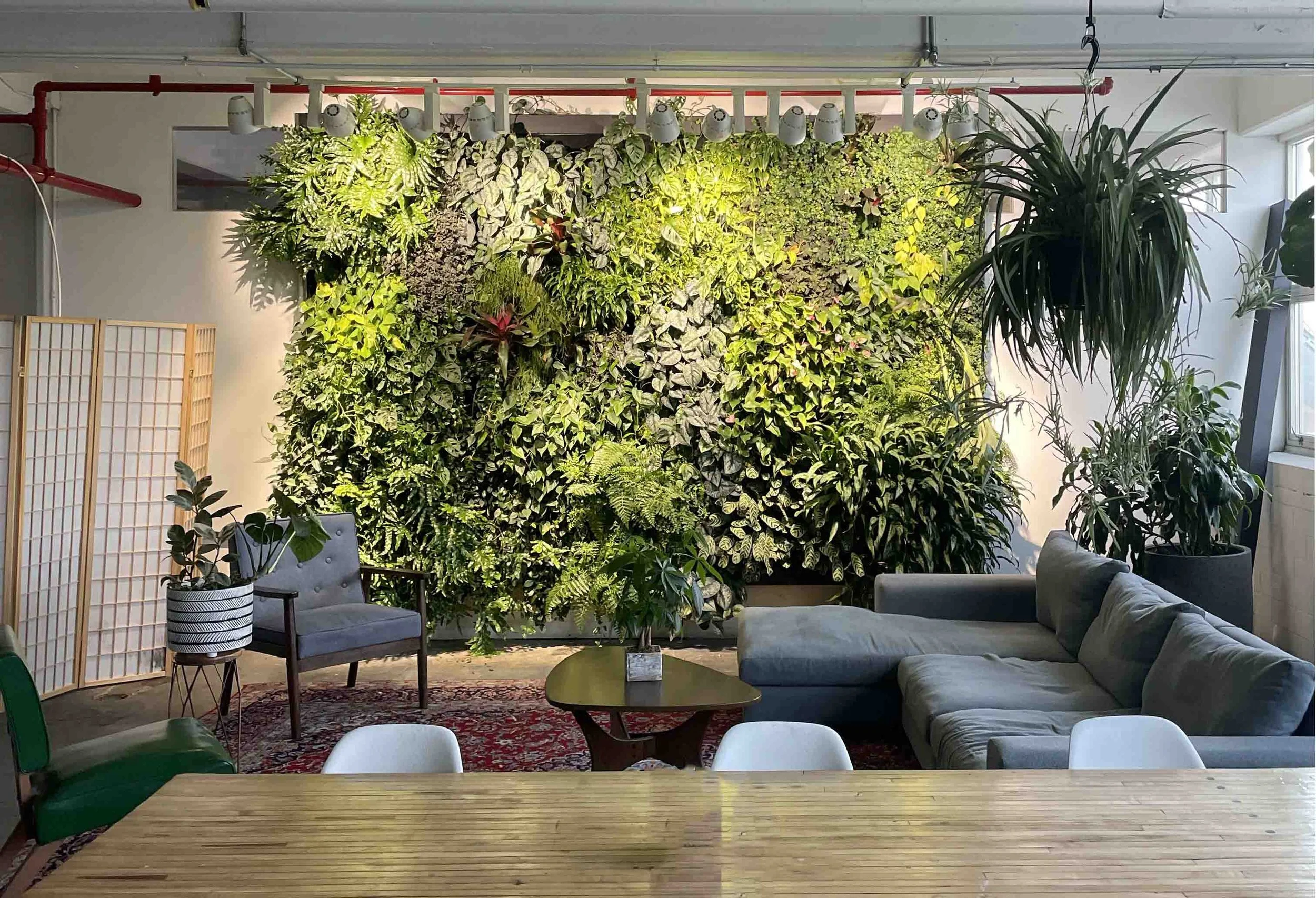 The Walls are Alive! The Beauty of Greening our Cities - inside and out ...