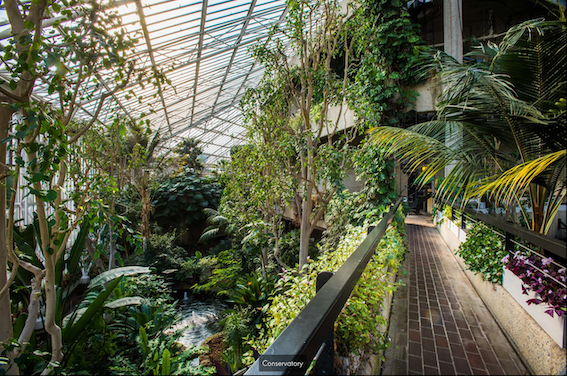 Biophilic Design Conference SESSIONS — Journal of Biophilic Design