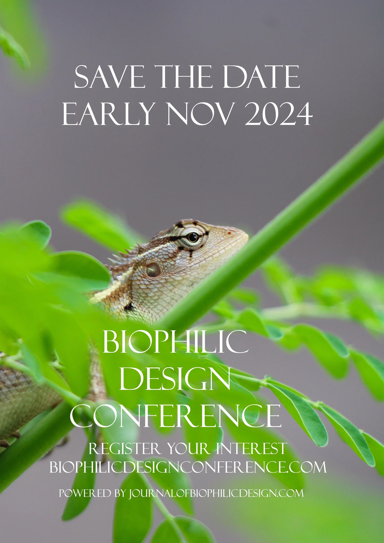Biophilic Design Conference — Journal of Biophilic Design