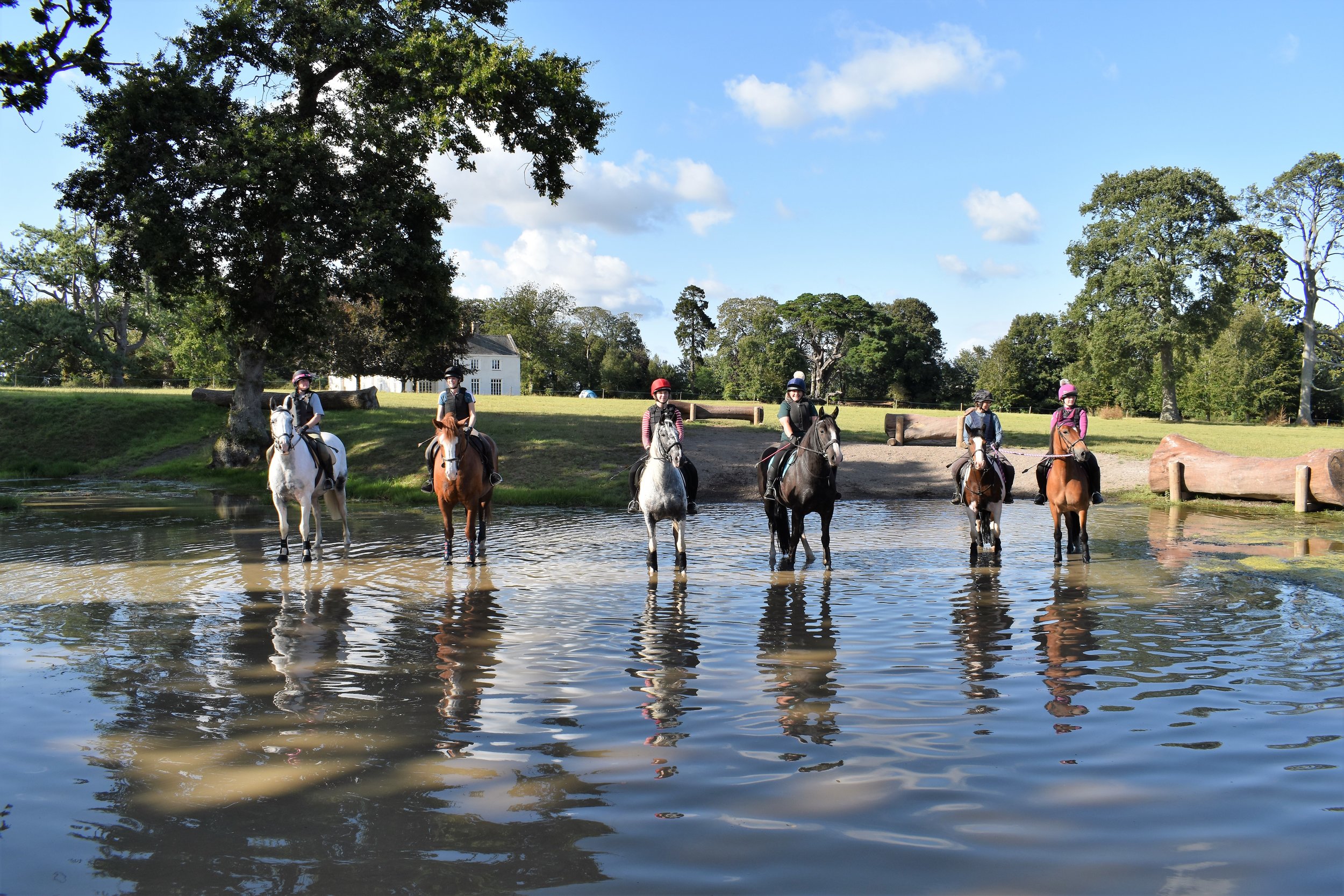 Blackdown Hills Riding Club