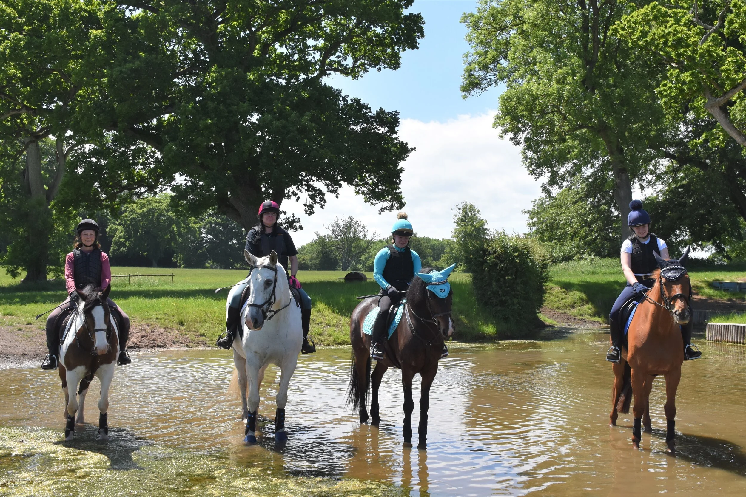 Blackdown Hills Riding Club