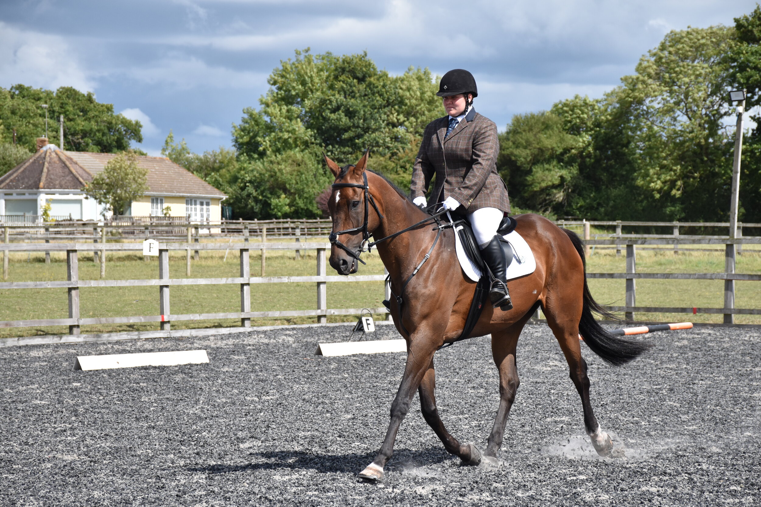 Blackdown Hills Riding Club