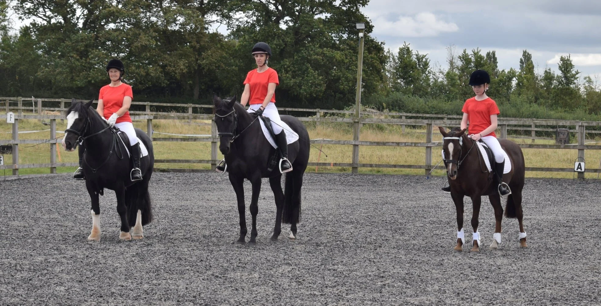 Blackdown Hills Riding Club