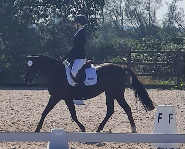 Blackdown Hills Riding Club