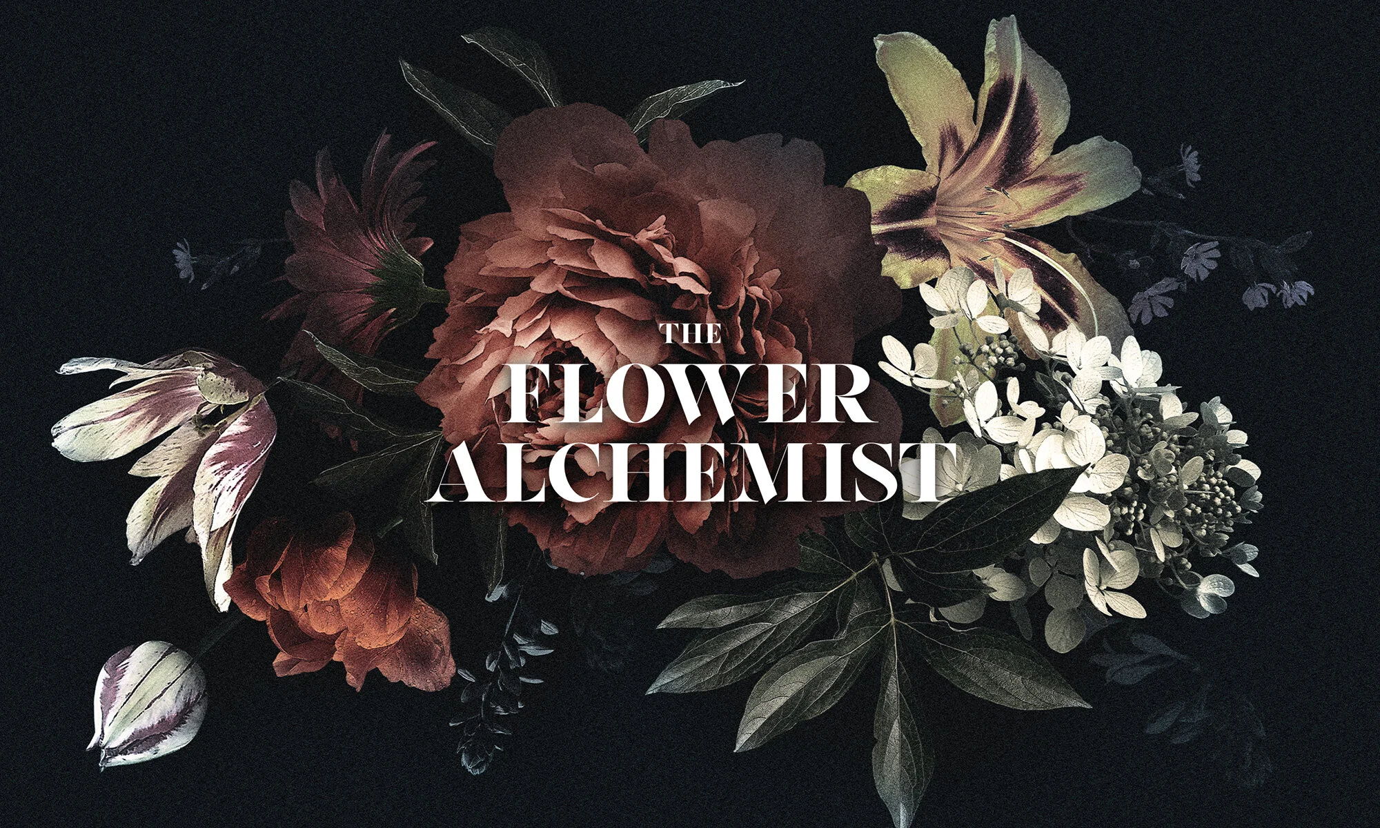 The Flower Alchemist — Studio Lewis