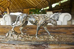 Sarara Tree - Fact Sheet — Bush & Beyond