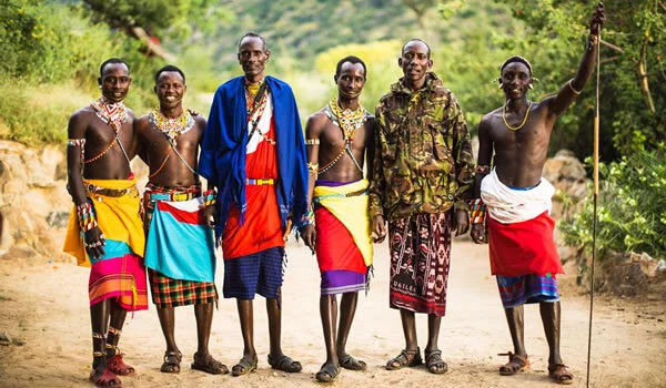 Sarara Tree - Fact Sheet — Bush & Beyond