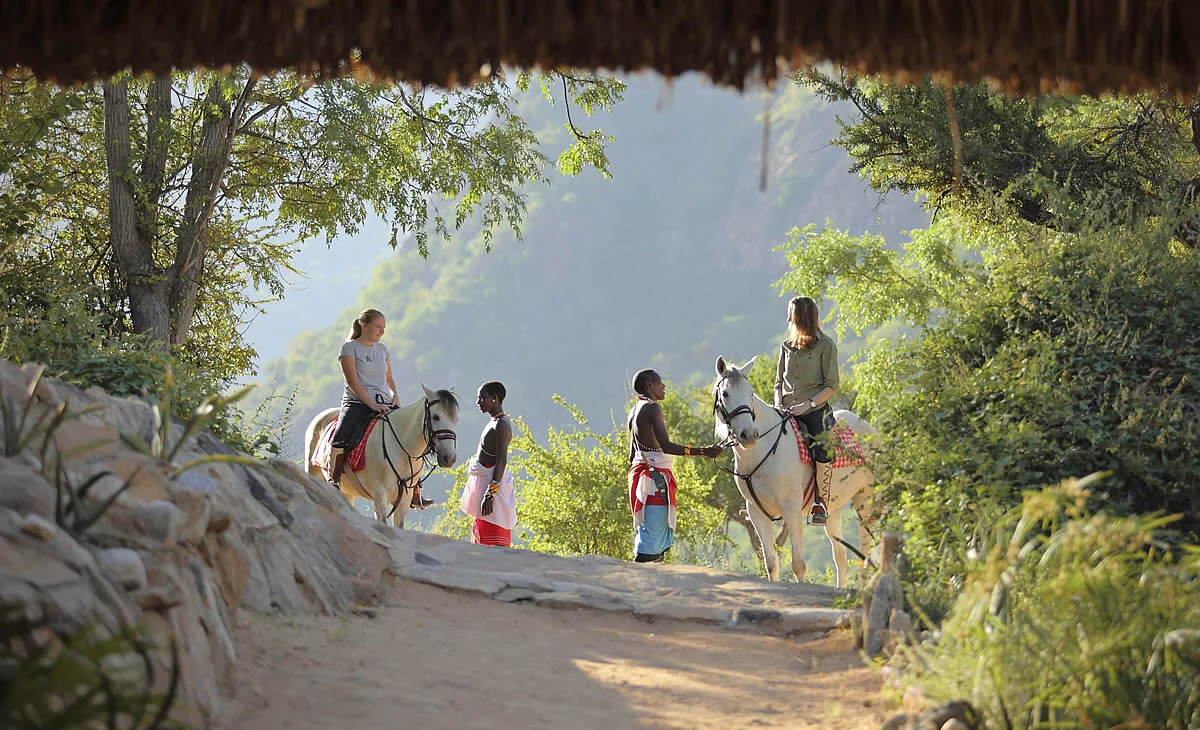 Sarara Tree - Gallery — Bush & Beyond