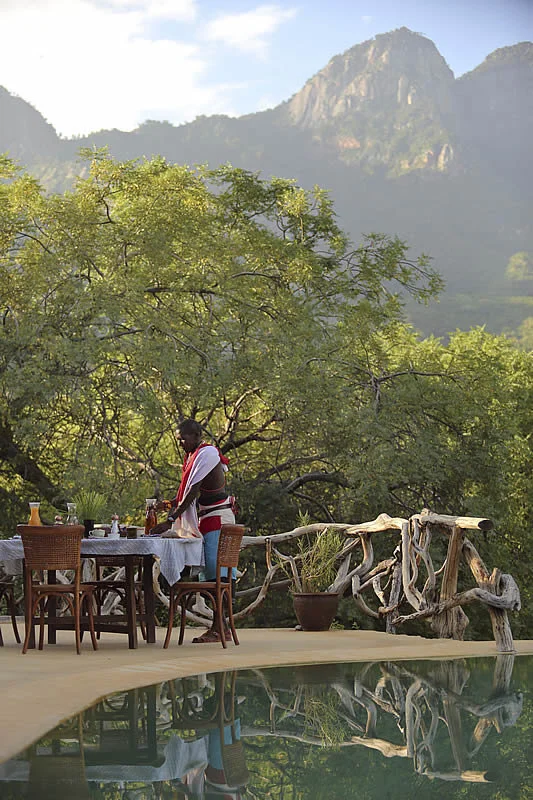 Sarara Tree - Gallery — Bush & Beyond