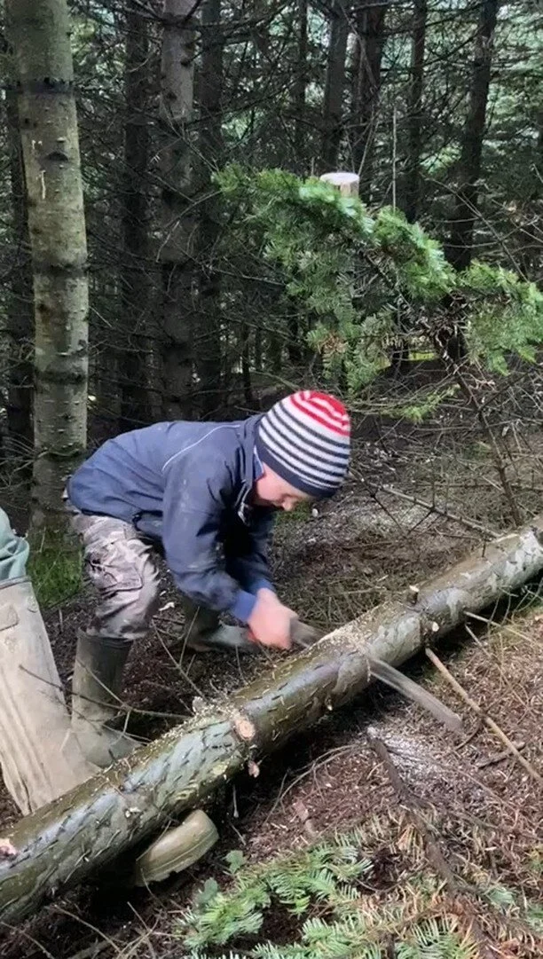 Tiger Challenge Course — Great Hagley Estate