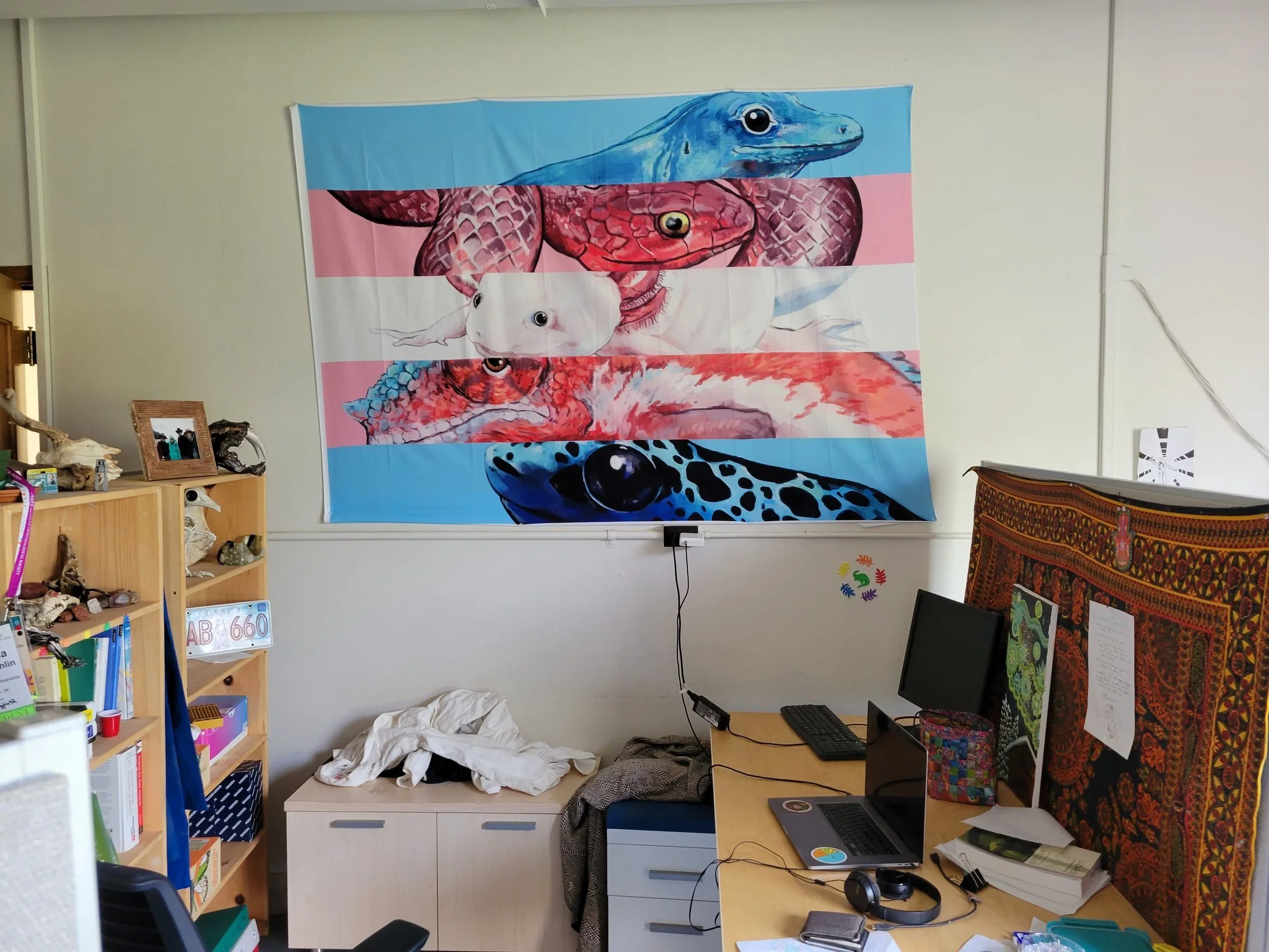 Trans inclusion in the biology classroom — The McLaughlin Lab