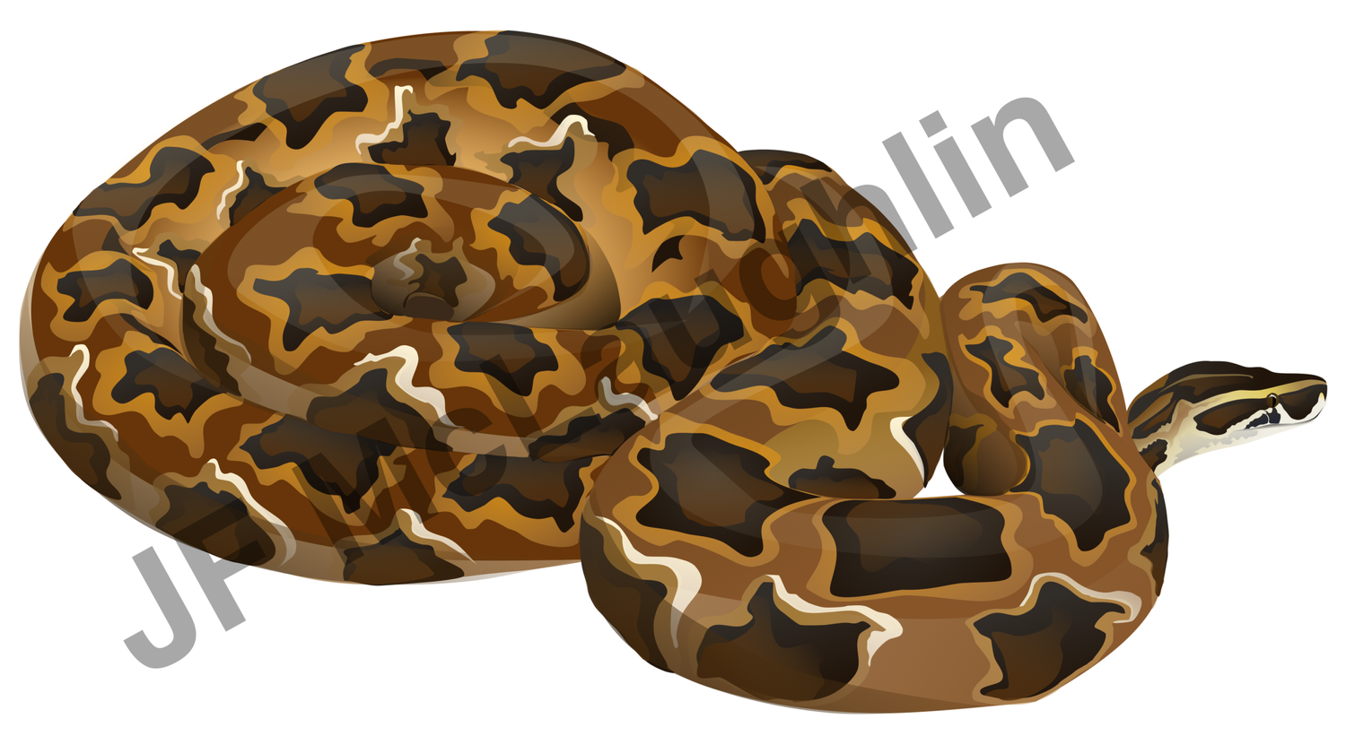 Art — The McLaughlin Lab