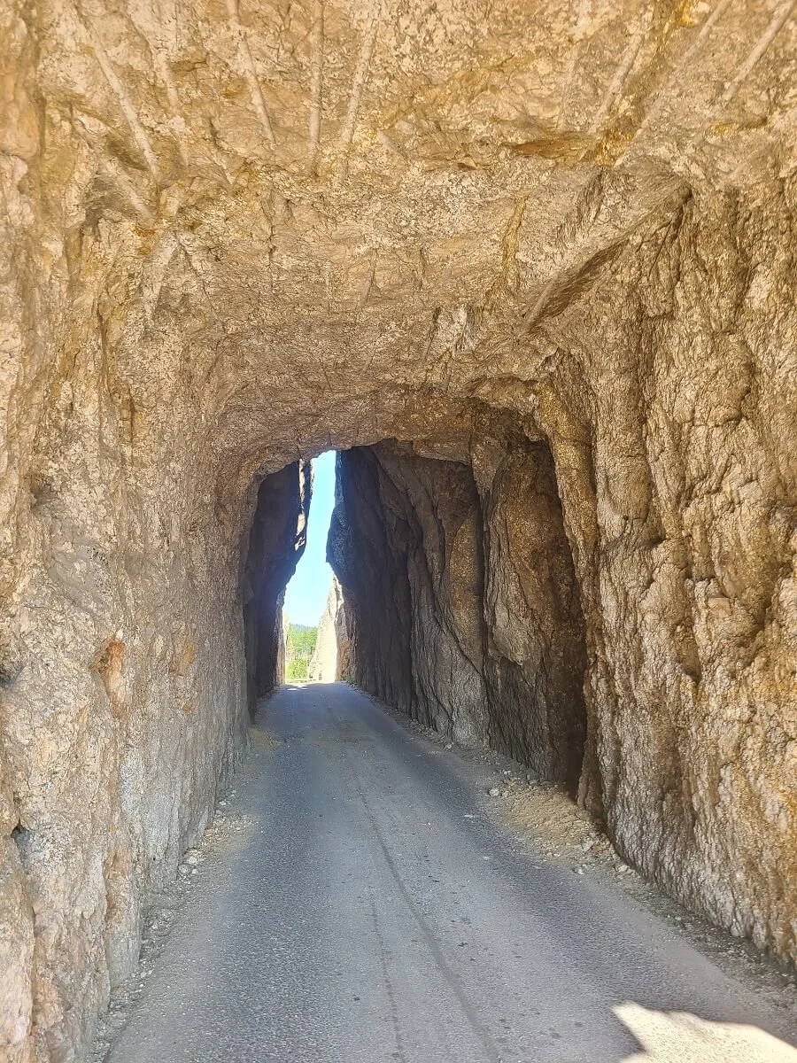 Best Things to Do in Custer State Park (Plus One to Three Day Custer ...