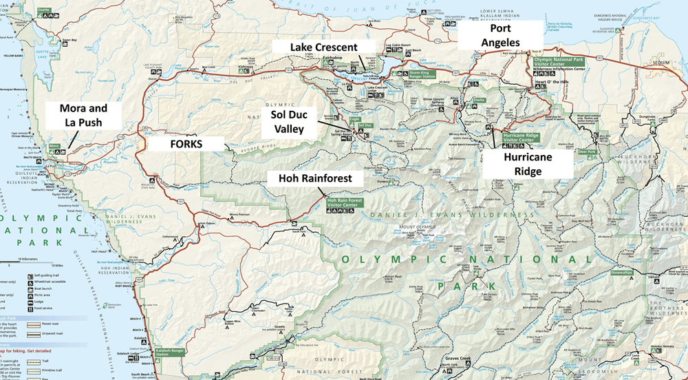 How to Visit the Hoh Rainforest in Olympic National Park: The Complete ...