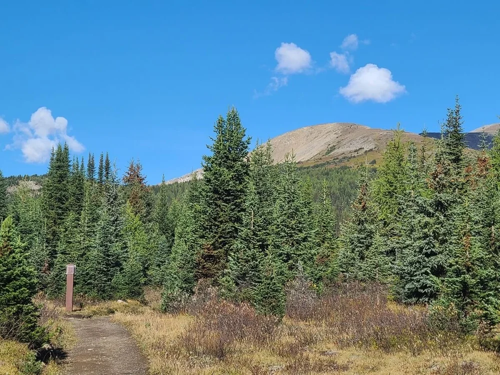 How to Hike the Niblet and Nublet in Mount Assiniboine Provincial Park ...