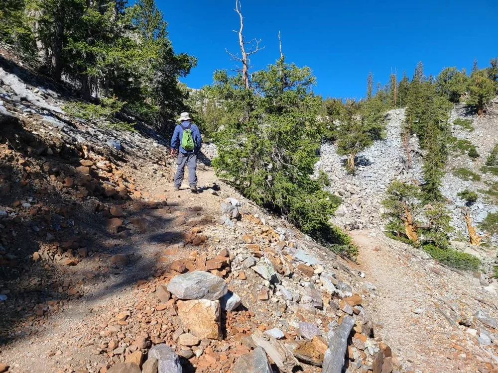 The Best Hike in Great Basin National Park- The Alpine Lakes Loop ...