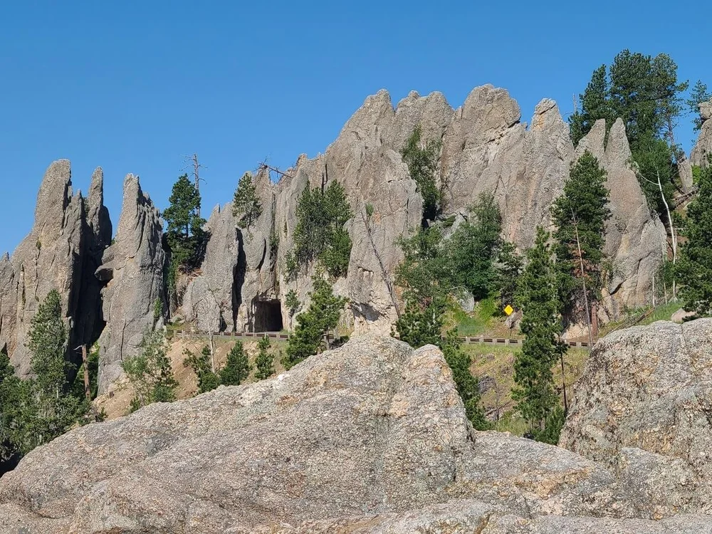 Best Things to Do in Custer State Park (Plus One to Three Day Custer ...