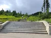 How to Hike the Skyline Loop Trail in Mount Rainier National Park ...