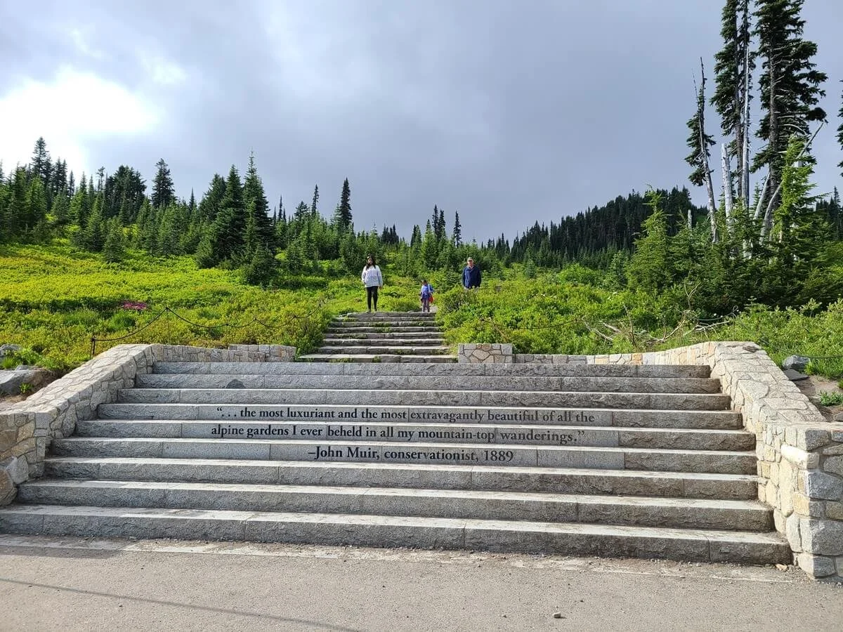 How to Hike the Skyline Loop Trail in Mount Rainier National Park ...
