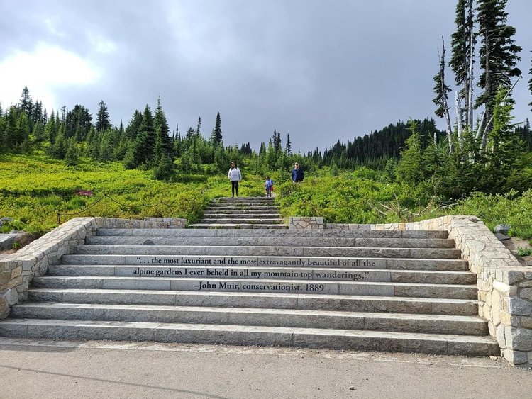 How to Hike the Skyline Loop Trail in Mount Rainier National Park ...