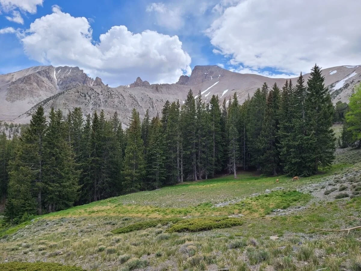 The Best Hike in Great Basin National Park- The Alpine Lakes Loop ...
