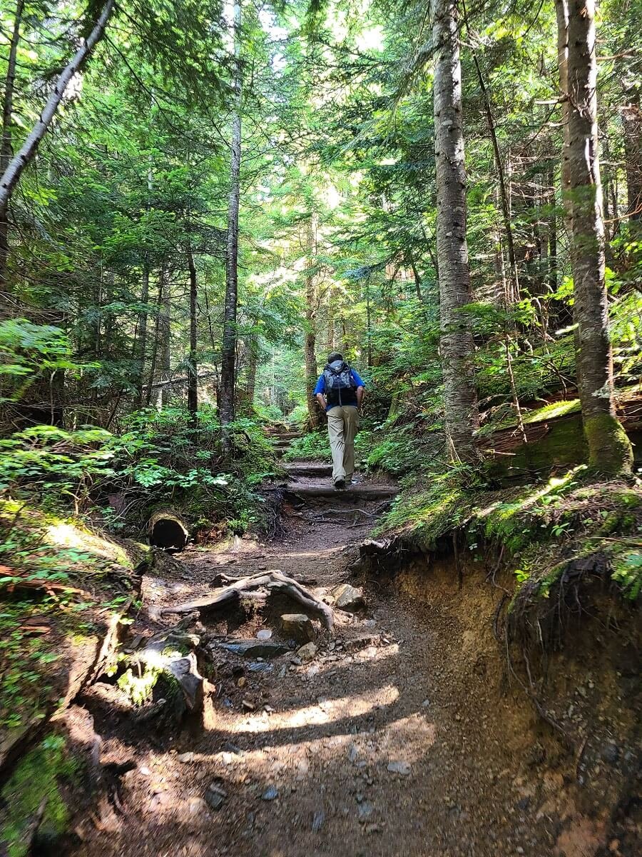 The Skyline Divide Trail: Mount Baker's Best Day Hike — Dirty Shoes ...