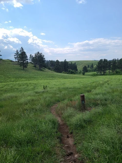 The Best Hike in Wind Cave National Park: The Lookout Point-Centennial ...