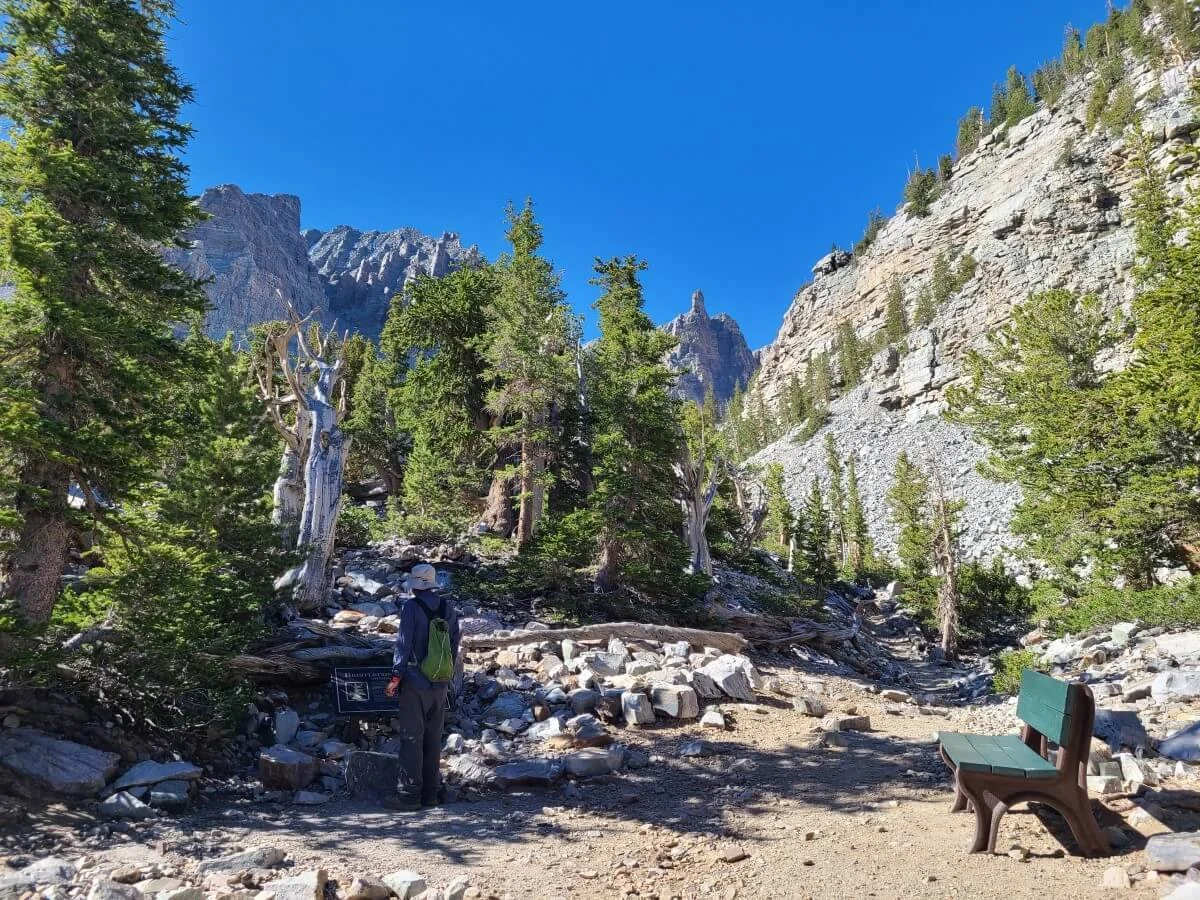 The Best Hike in Great Basin National Park- The Alpine Lakes Loop ...