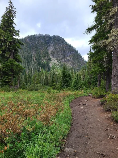 The Park Butte Lookout Trail in Washington (And How to Stay the Night ...