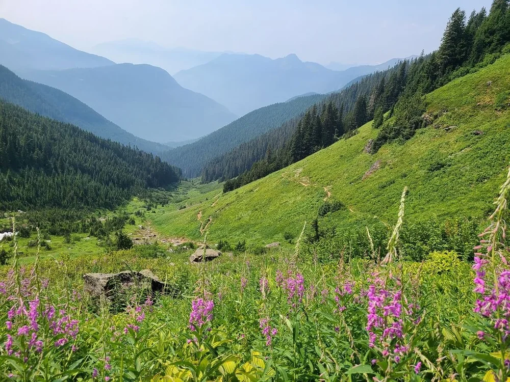 The Hidden Lake Lookout Trail in the North Cascades: The Complete Guide ...