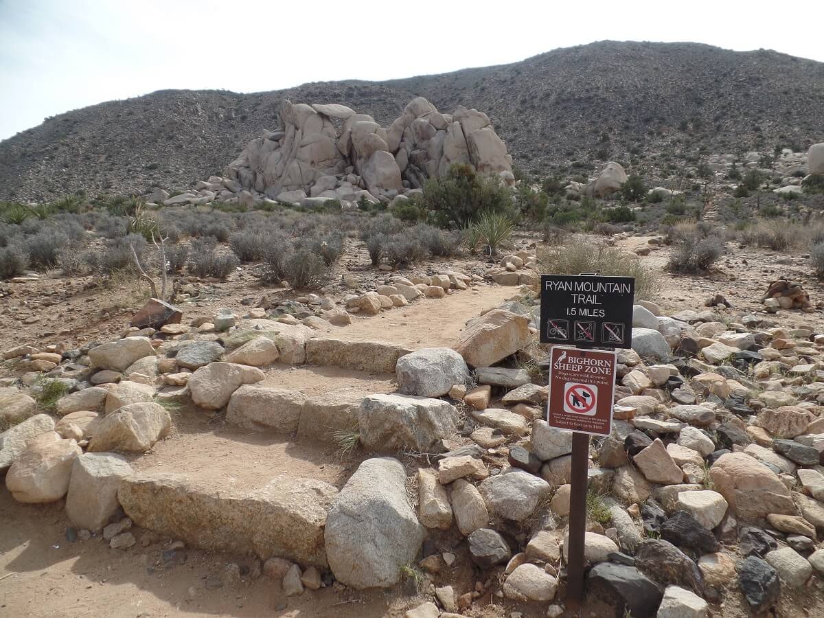 Ryan Mountain in Joshua Tree: The Complete Hiking Guide — Dirty Shoes ...