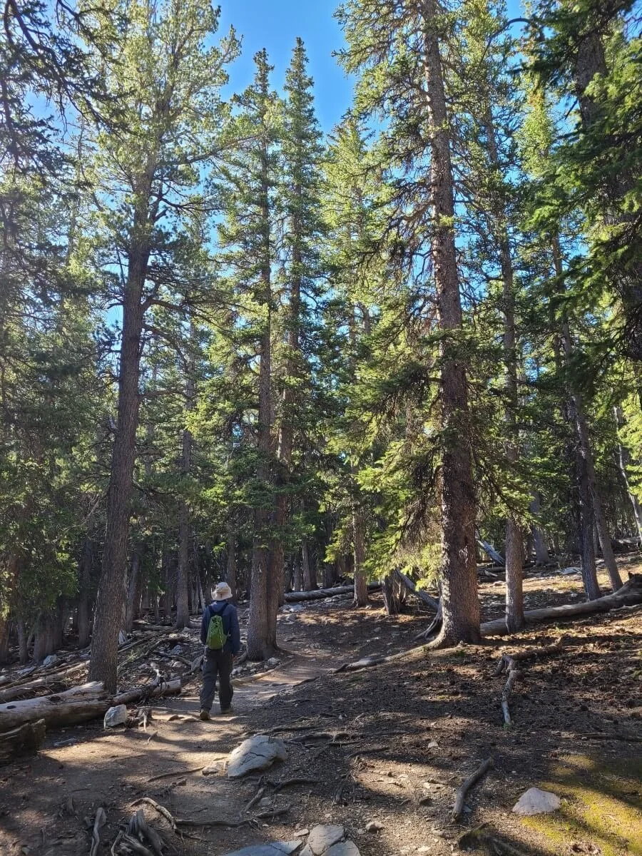 The Best Hike in Great Basin National Park- The Alpine Lakes Loop ...