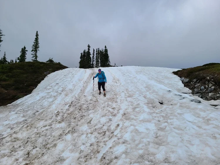 How to Hike the Skyline Loop Trail in Mount Rainier National Park ...