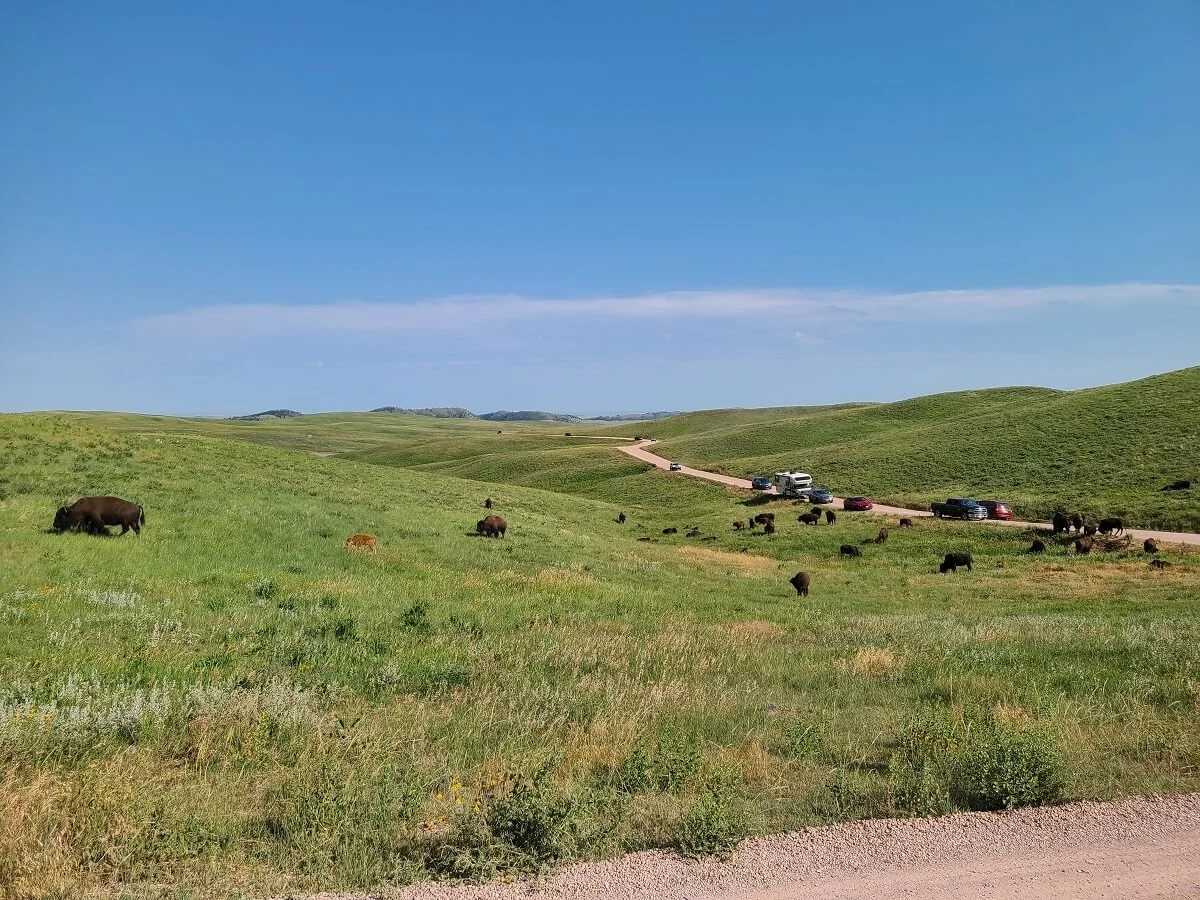 Best Stops on The Peter Norbeck Scenic Byway: South Dakota's BEST ...