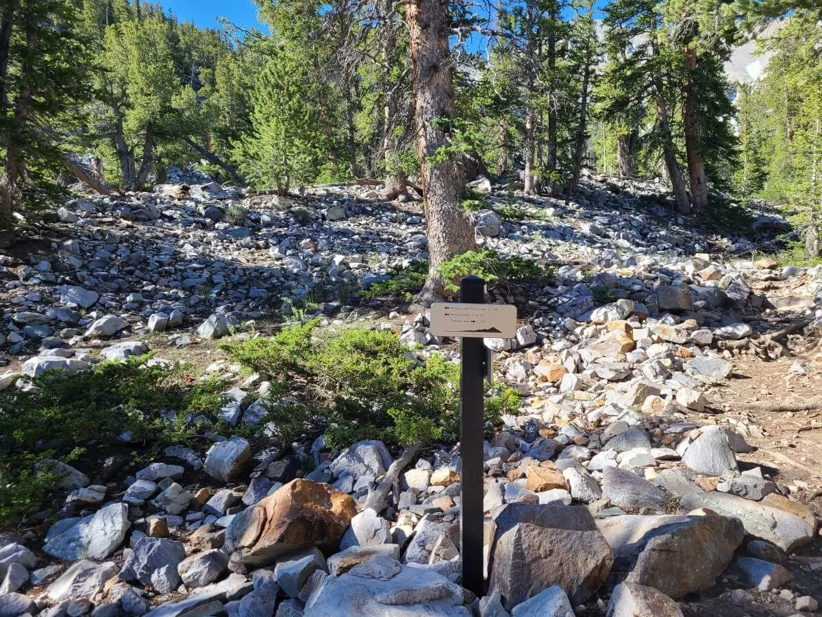 The Best Hike in Great Basin National Park- The Alpine Lakes Loop ...