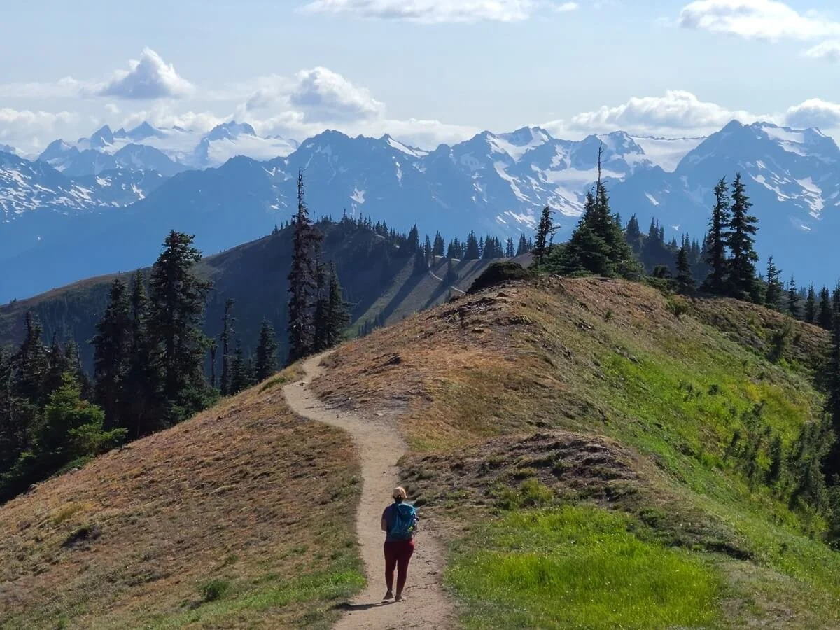 How to Visit Hurricane Ridge in Olympic National Park: The Complete ...