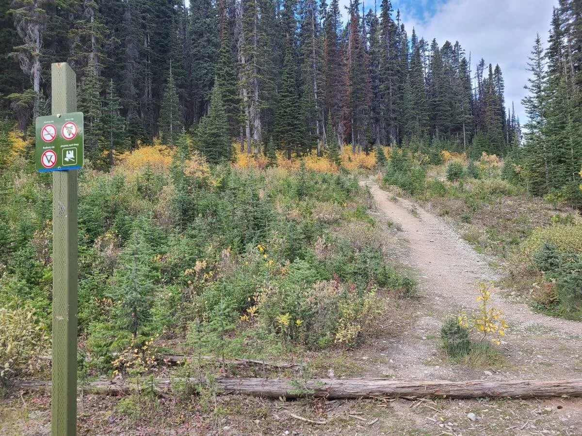 How to Hike Tent Ridge in Kananaskis - An Incredible Hike Near Banff ...
