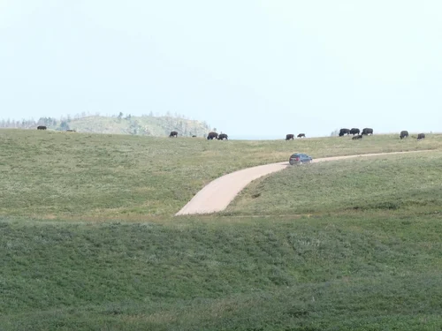 Best Stops on The Peter Norbeck Scenic Byway: South Dakota's BEST ...