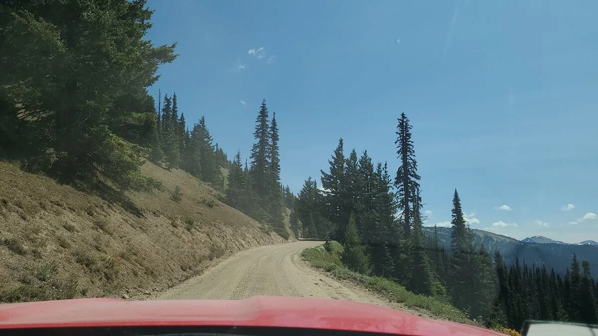 How to Drive Obstruction Point Road in Olympic National Park (+ See a ...