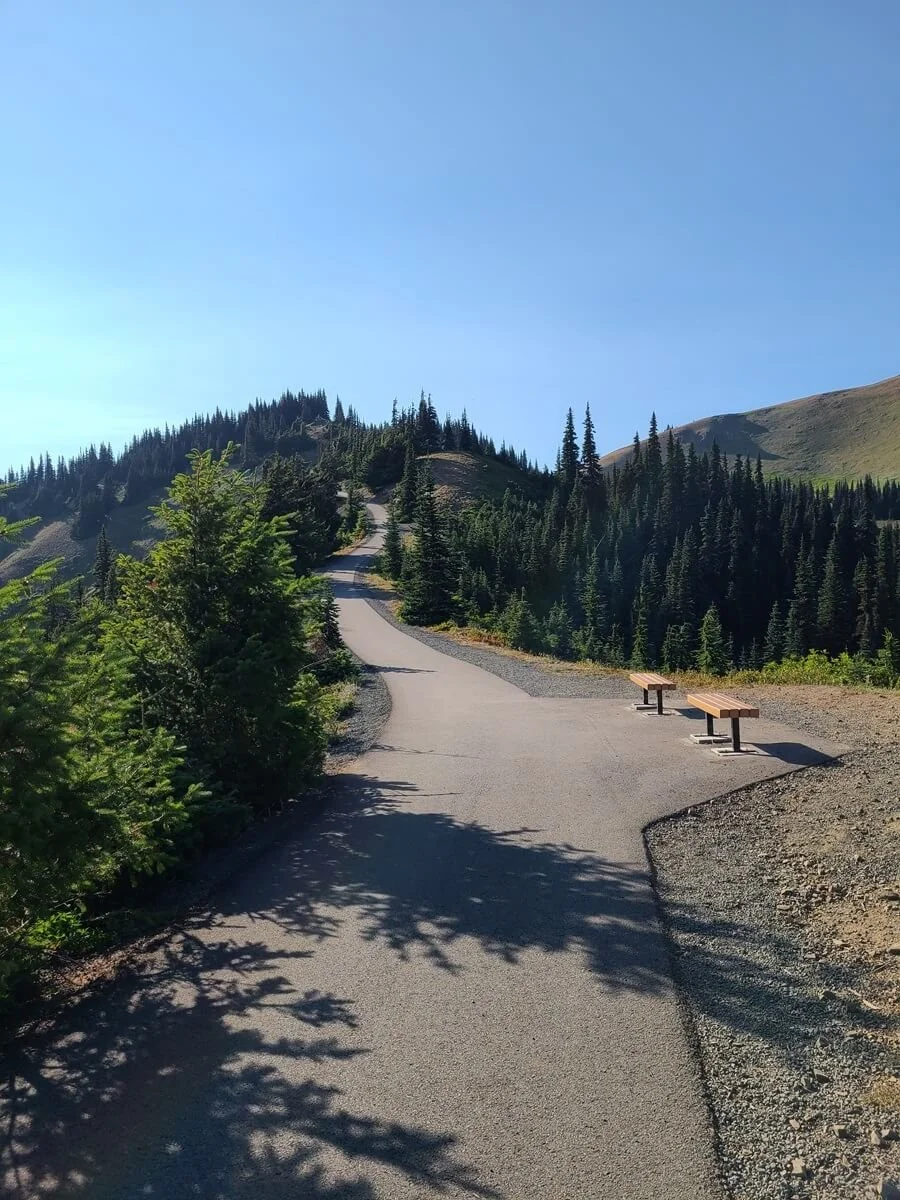 How to Visit Hurricane Ridge in Olympic National Park: The Complete ...