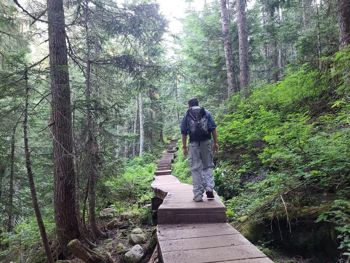 The Hidden Lake Lookout Trail in the North Cascades: The Complete Guide ...