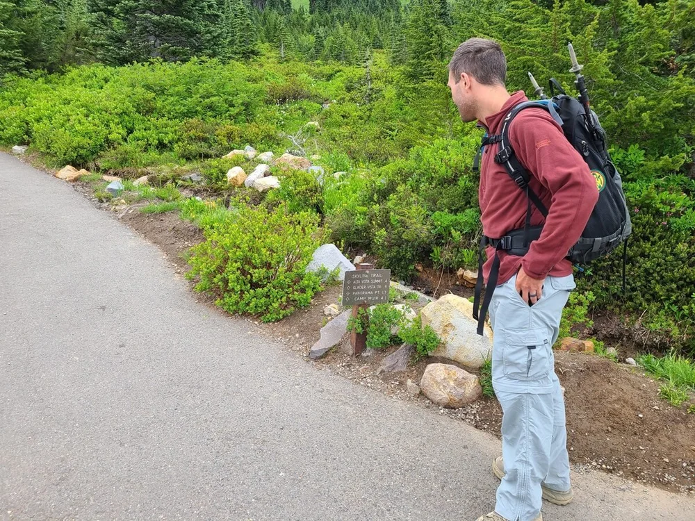 How to Hike the Skyline Loop Trail in Mount Rainier National Park ...