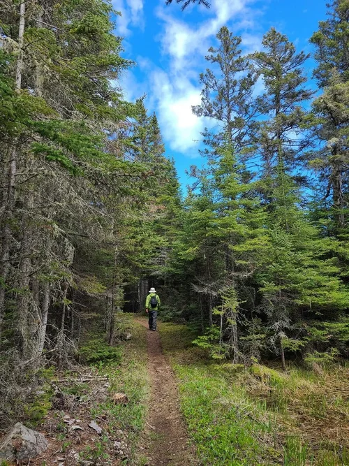 How to Hike to Scoville Point in Isle Royale National Park — Dirty ...