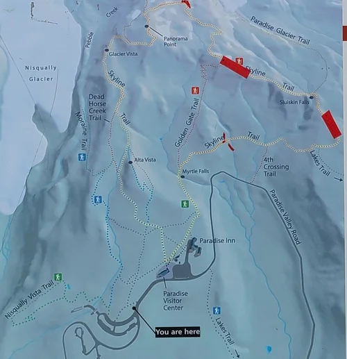 How to Hike the Skyline Loop Trail in Mount Rainier National Park ...